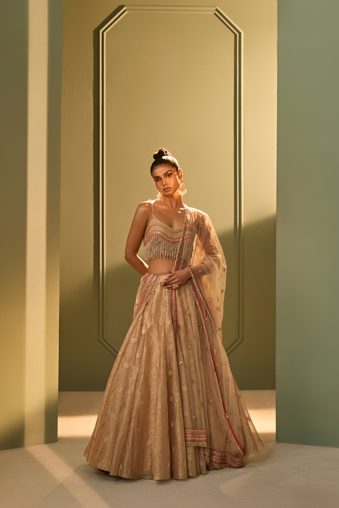Noora Tissue Lehenga | Nandita Thirani